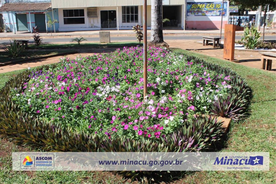 Prefeitura de Minaçu cuida de praças e jardins - Prefeitura de Minaçu